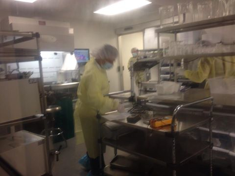 Electrical Safety Testing – ZERIMAR MEDICAL EQUIPMENT SERVICES